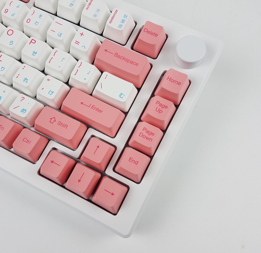 AKKO MOD007B PC HE Tokyo Mechanical Keyboard Review - EnosTech.com